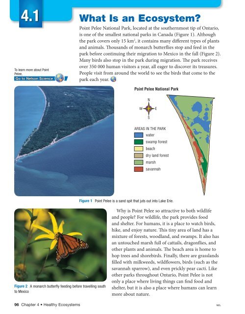 What Is an Ecosystem? - HRSBSTAFF Home Page