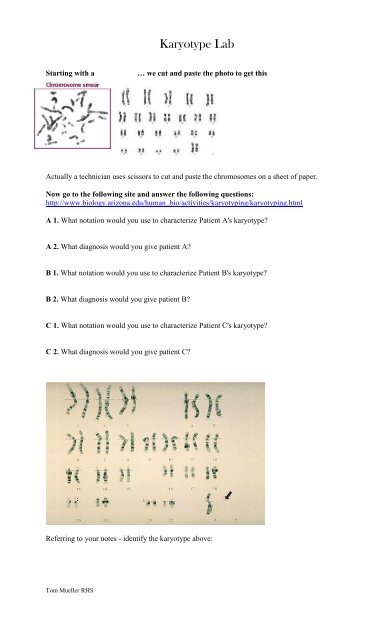 Karyotype Lab.pdf - Quia