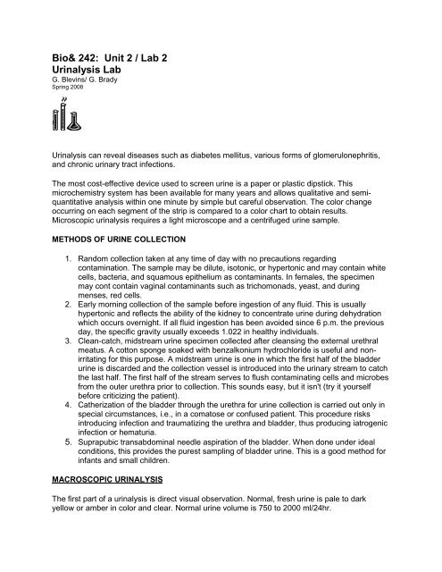 Bio& 242: Unit 2 / Lab 2 Urinalysis Lab