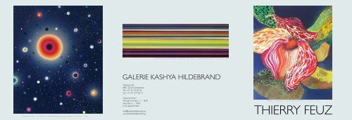 THIERRY FEUZ - Steiner Graphics