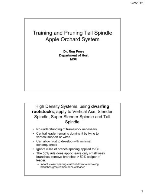 Training and Pruning Tall Spindle Apple Orchard System