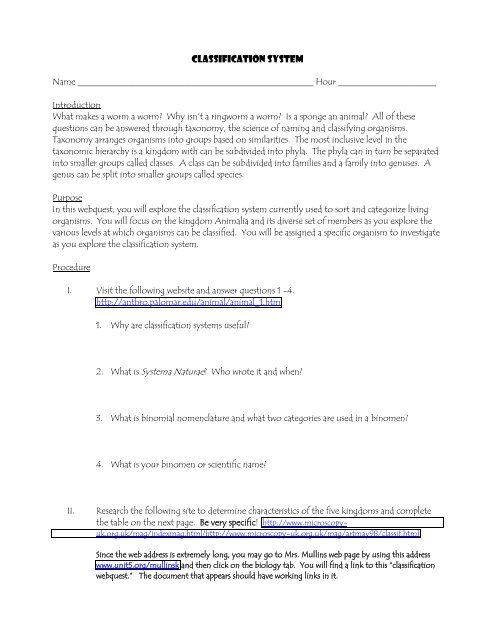 Classification System