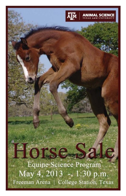 catalog-2013-web - Department of Animal Science - Texas A&M ...