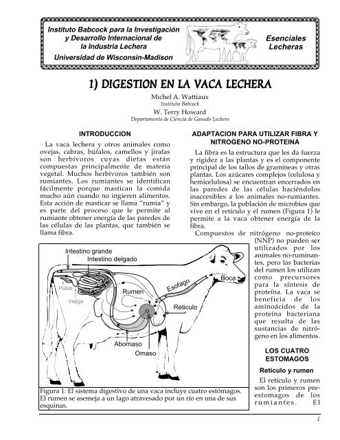 1) DIGESTION EN LA VACA LECHERA - Babcock Institute
