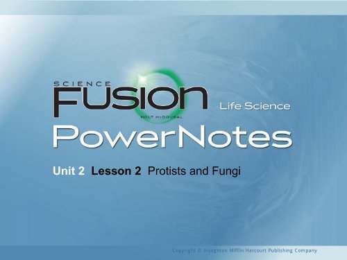 Unit 2 Lesson 2 Protists and Fungi