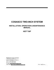 COSASCO Two-Inch System Access Fitting Assemblies - Rohrback ...