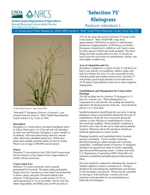 'Selection 75' Kleingrass - Plant Materials Program - US Department ...