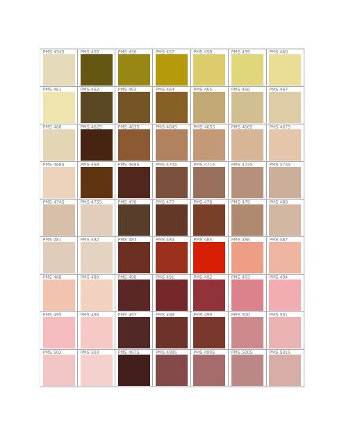 PMS 4545 PMS 455 PMS 456