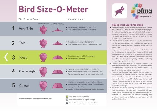 Bird Size-O-Meter