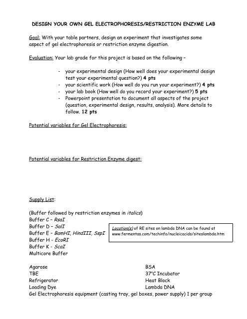 "Design-Your-Own" RE Lab