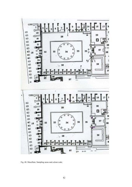 Fig. 48. Macellum. Sampling areas and colour code.