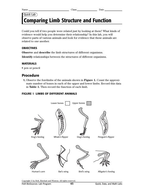 Comparing Limb Structure and Function