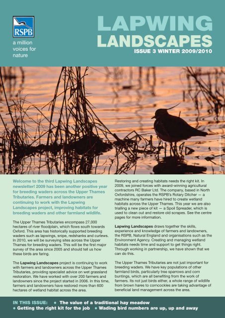Lapwing Landscapes newsletter - RSPB