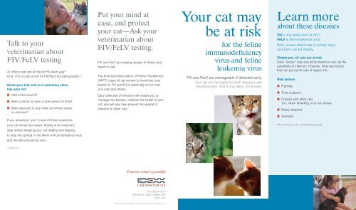 FIV/FeLV: Your cat may be at risk - IDEXX Laboratories