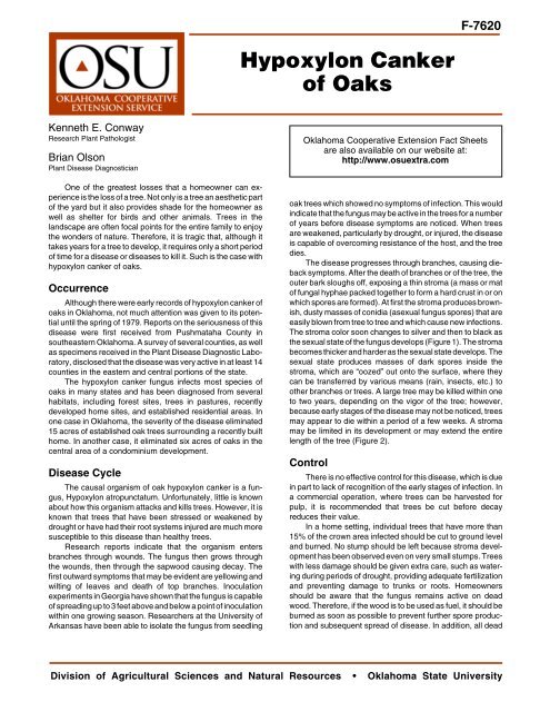 Hypoxylon Canker of Oaks - Oklahoma Forestry Services