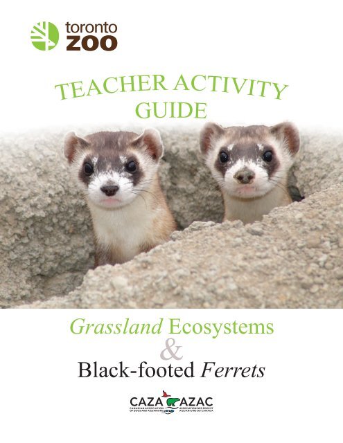 Black-footed Ferret Teacher Activity Guide - Toronto Zoo