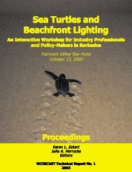 Florida Sea Turtles Dichotomous Key