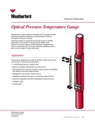 Optical Gauge Carrier - Weatherford International