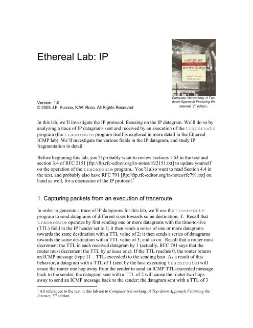 Ethereal Lab: IP