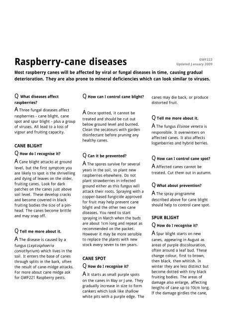 Raspberry-cane diseases - Which.co.uk