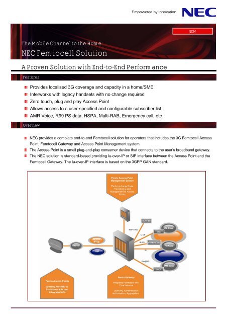 NEC Femtocell Solution