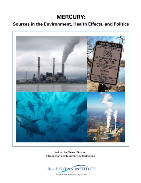 MERCURY: - Blue Ocean Institute