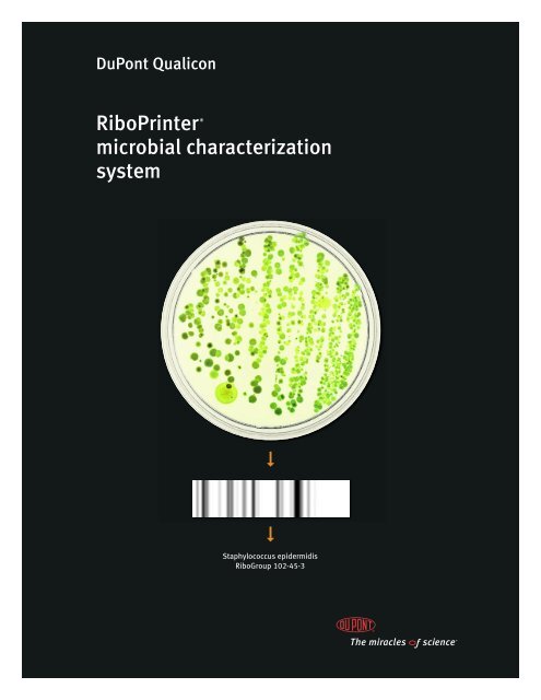 RiboPrinterÂ® microbial characterization system - Thermo Fisher