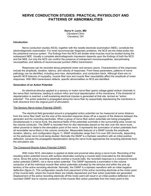 nerve conduction studies: practical physiology and patterns of ...