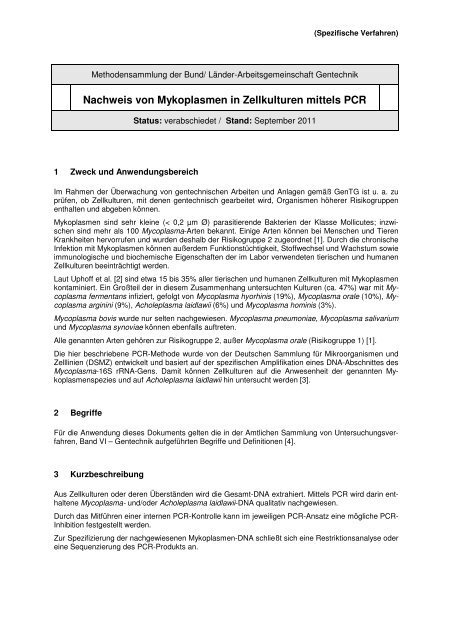 Nachweis von Mykoplasmen in Zellkulturen mittels PCR