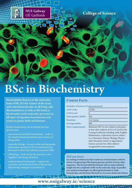 BSc in Biochemistry