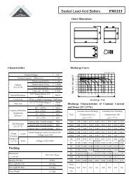 Sealed Lead-Acid Battery FM12330 - Nuova-sara.it