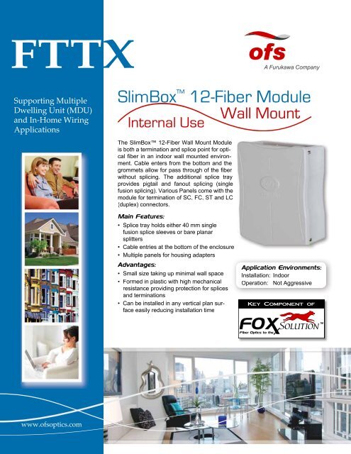 SlimBox™ 12-Fiber Wall Mount Module - OFS