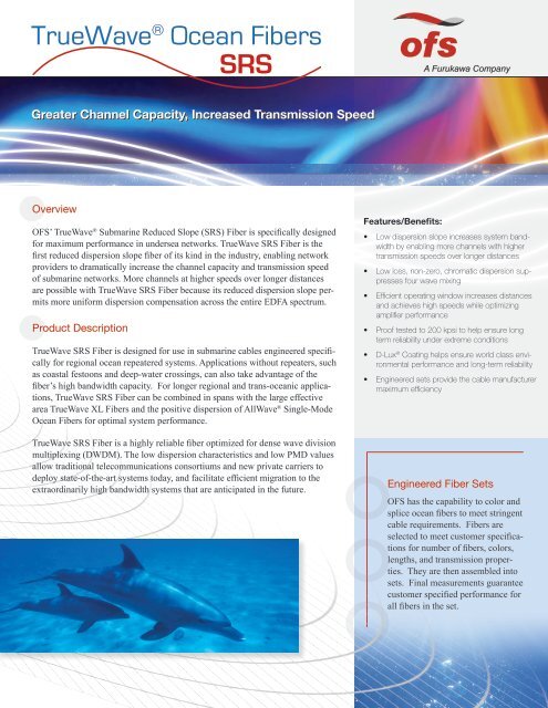 TrueWave® SRS Ocean Fiber - OFS