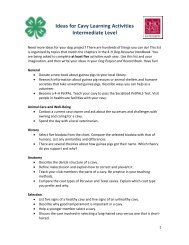 Make a mini scrapbook - Ohio State 4-H
