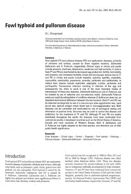 Fowl typhoid and pullorum disease - OIE