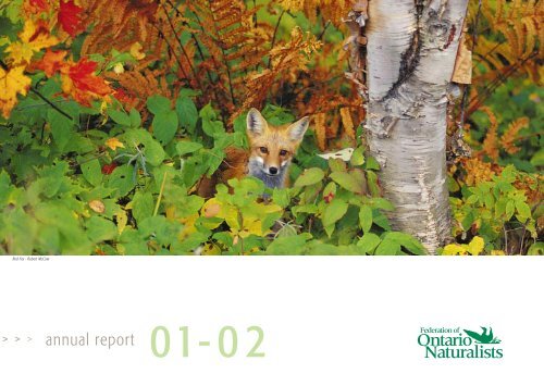 annual report - Ontario Nature