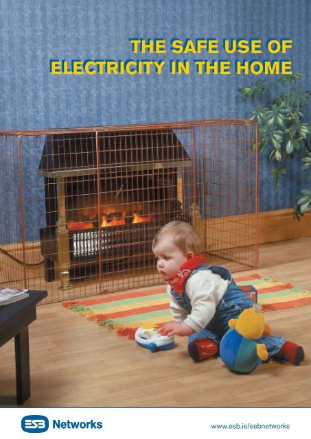 The Safe Use of Electricity in the Home - Esb