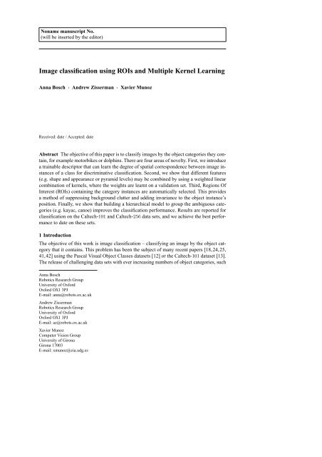 Image Classification Using Rois And Multiple Kernel Learning