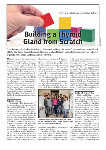 Building a Thyroid Gland from Scratch