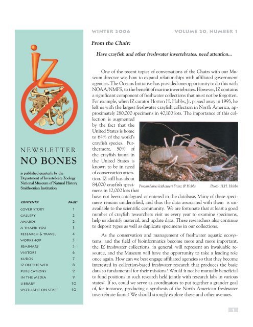 Invertebrate Zoology ZOO 101 102 | Invertebrate Zoology | Grasshopper