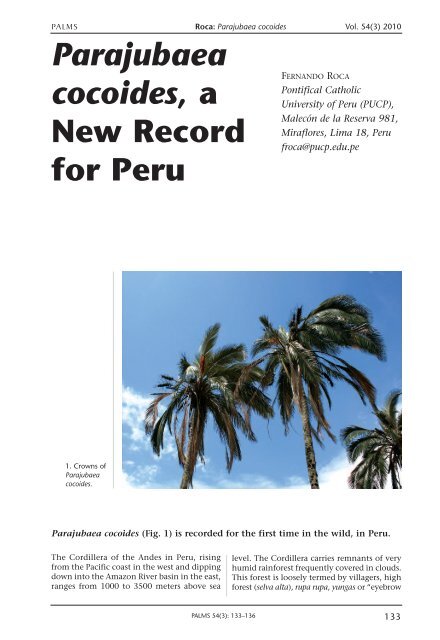 Parajubaea cocoides, a New Record for Peru