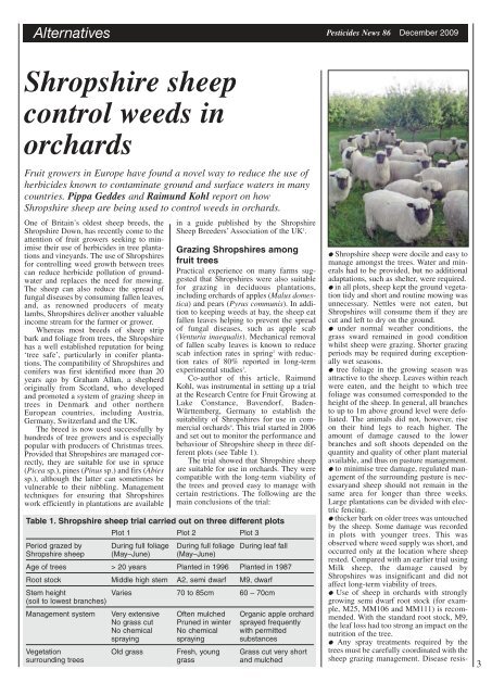 Shropshire sheep control weeds in orchards