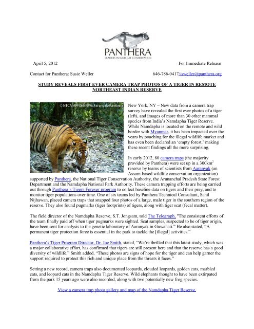 Panthera Organization