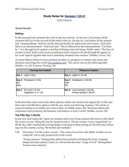 Study Notes for Genesis 1:20-31