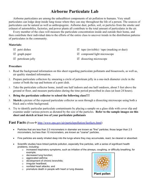 Particulate Matter Air Pollution.pdf