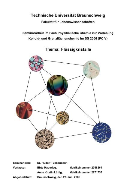 FlÃ¼ssigkristalle - Physikalische und Theoretische Chemie ...