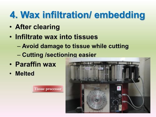 4. Wax infiltration/ embe