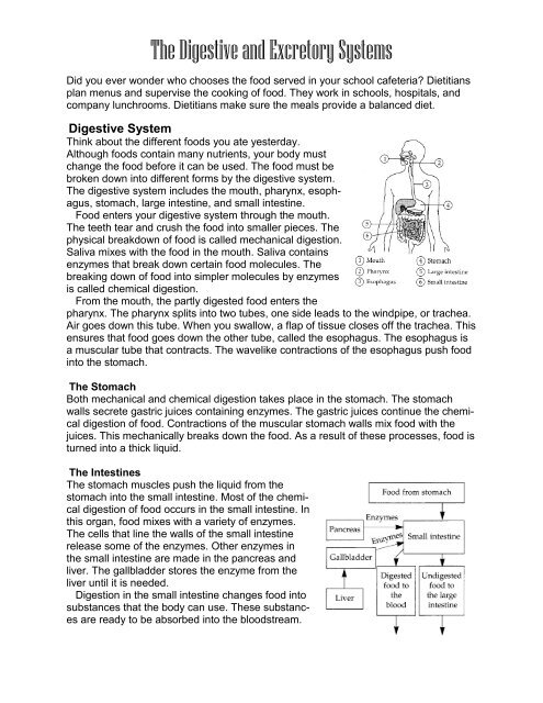 The Digestive and Excretory Systems