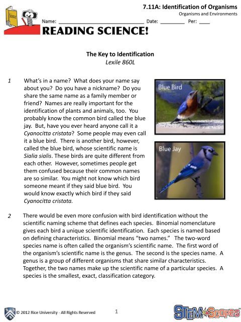 Reading Science! Key to Identification