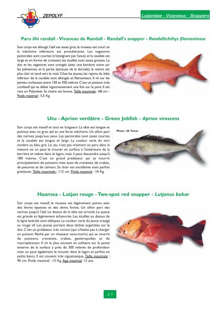 Utu - Aprion verdâtre - Green Jobfish - Aprion virescens Haamea ...